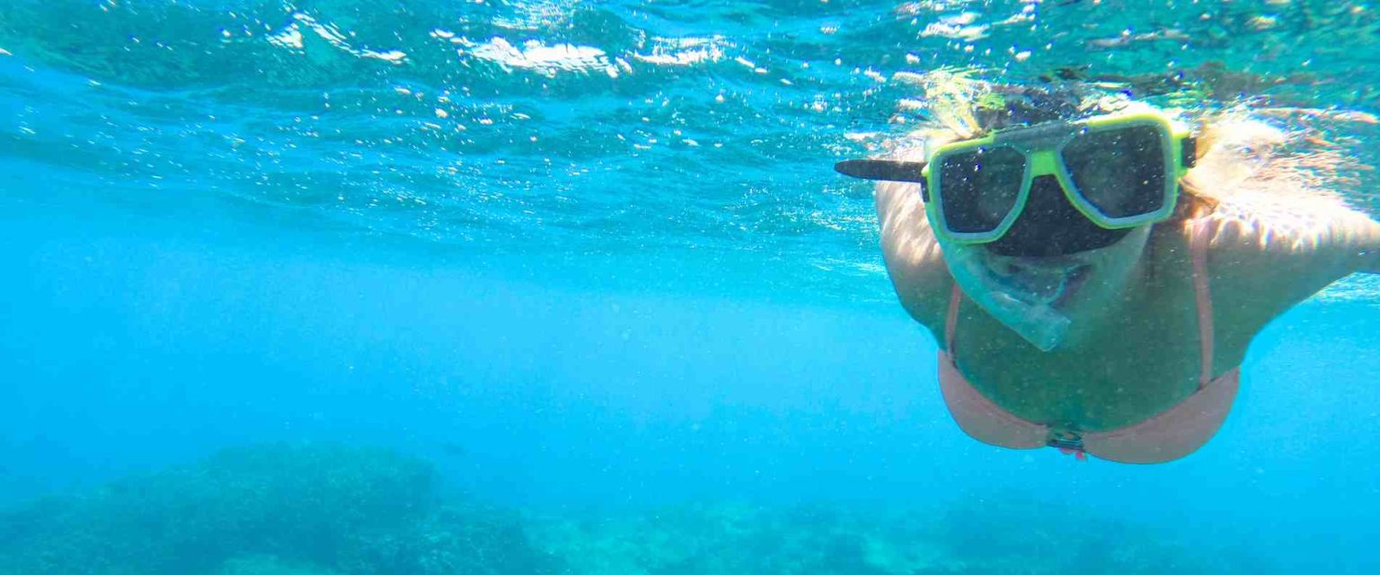 Great Barrier Reef Tours from $209 | Great Barrier Reef Day Trips from ...