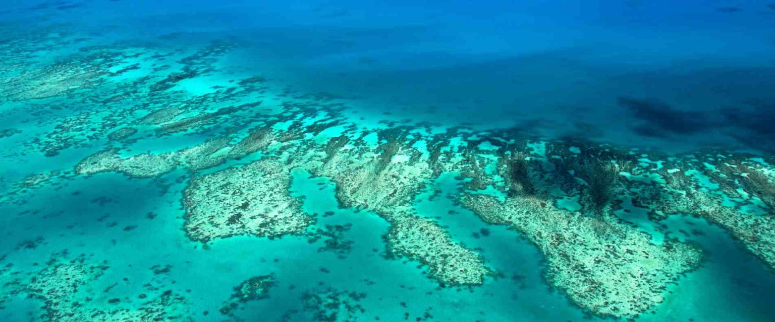Great Barrier Reef Tours from $209 | Great Barrier Reef Day Trips from ...